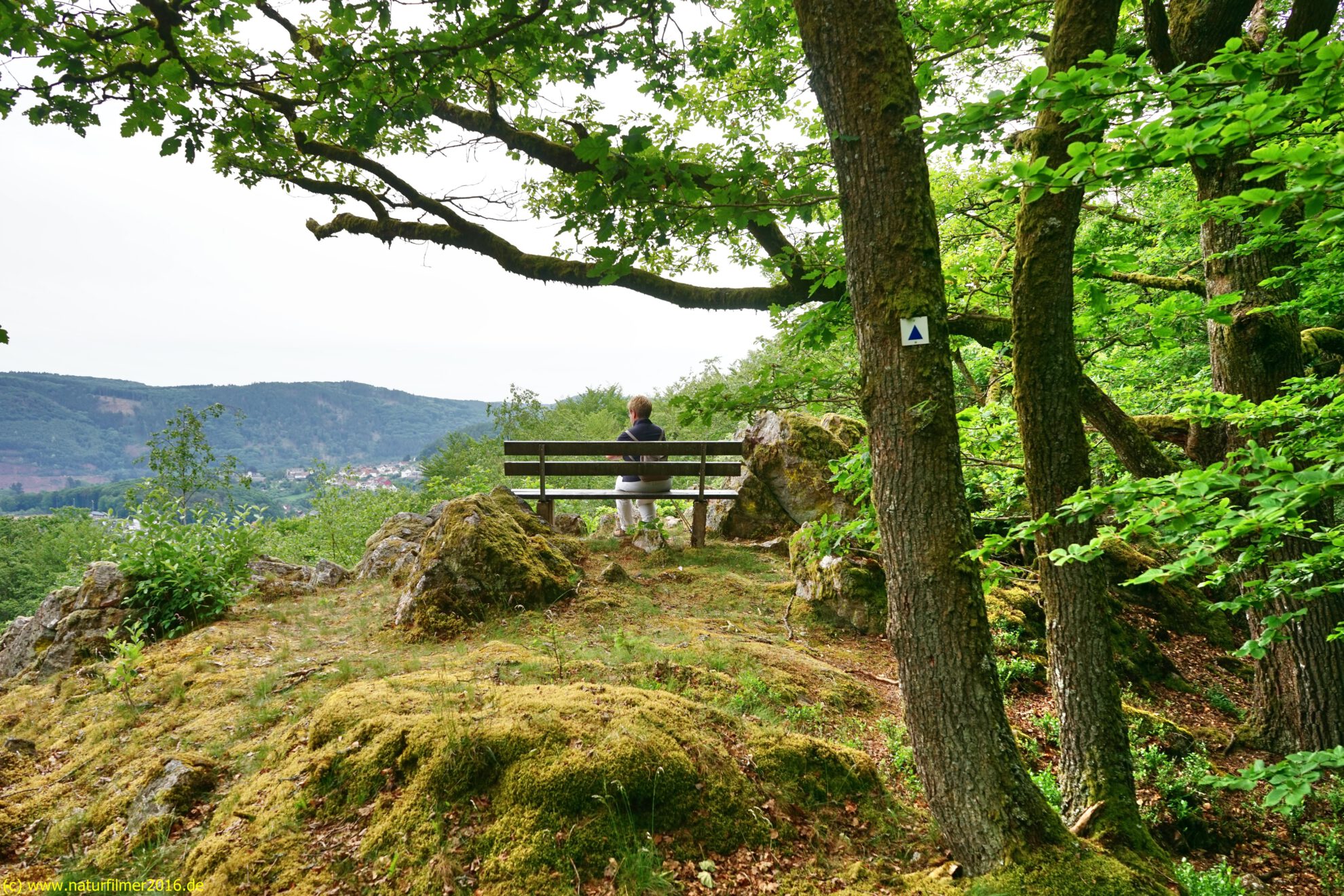 Rundwanderweg 3 - Taben-Rodt