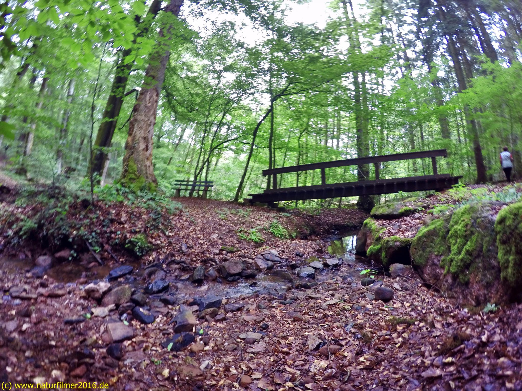 Rundwanderweg 2 - Taben-Rodt